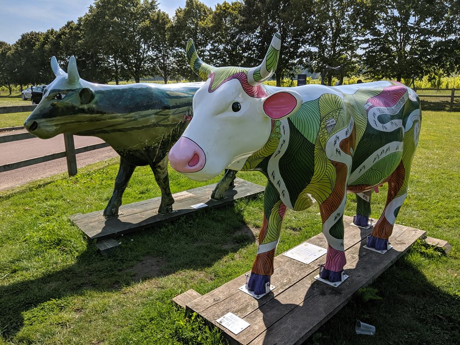 Denbies Brunch | Thames Valley Galleries | Porsche Club Great Britain